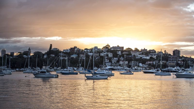 'There's always something going on': Why locals love Rose Bay