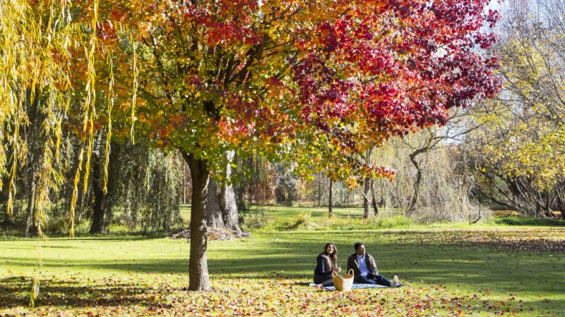 Tumut: The postcard-perfect town people from all over are moving to