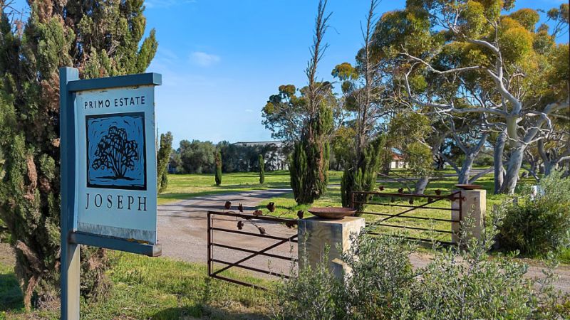 Wine, wealth and lifestyle awaits at this multi-income estate in South ...