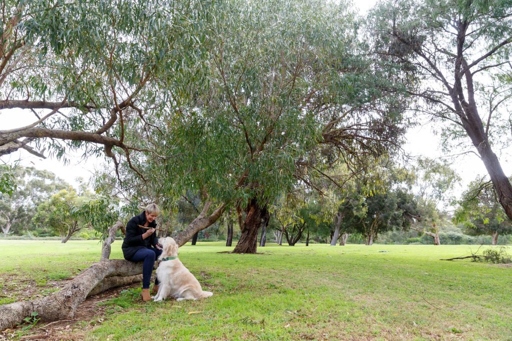 'Everyone knows everyone': Claremont, the prestige Perth suburb that ...