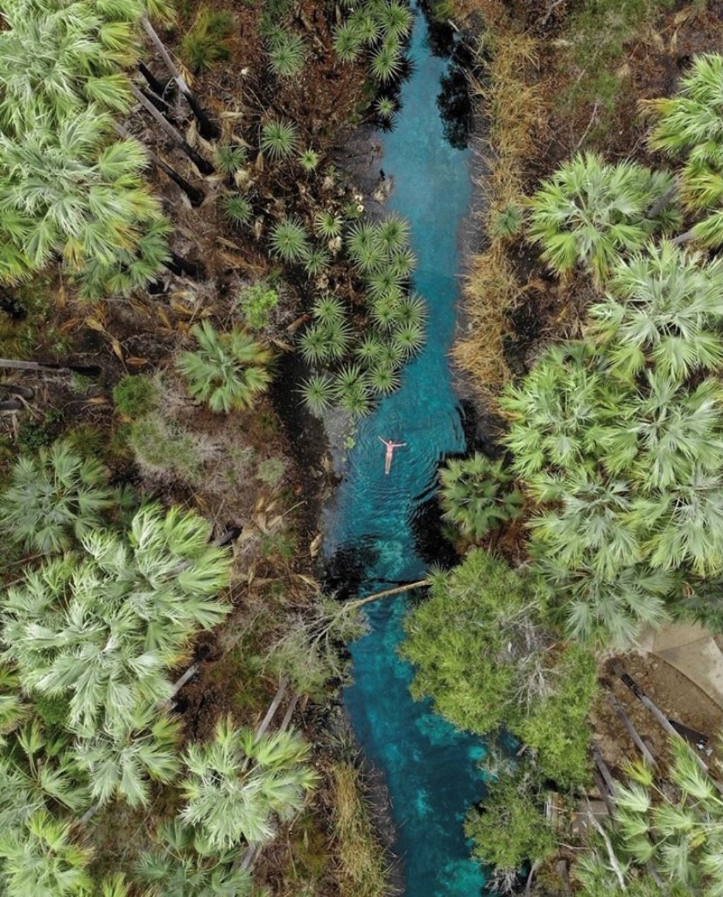 Escape to Mataranka, Northern Territory: A town of unexpected wonder