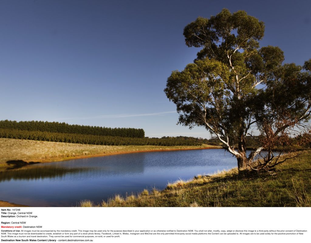 Orange: the regional town attracting city dwellers with its arts, food ...