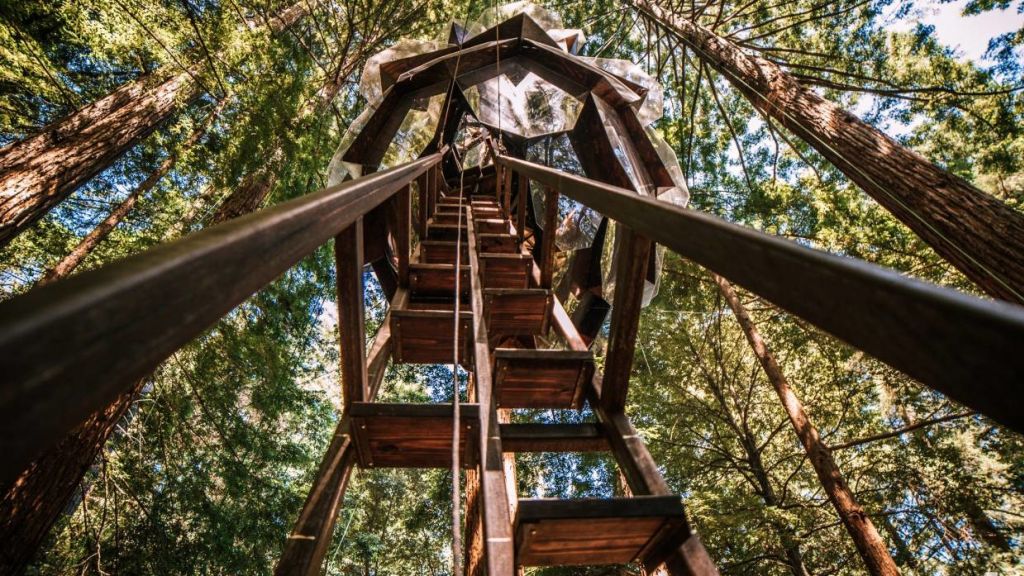 5 luxury treehouses that aren't just for kids