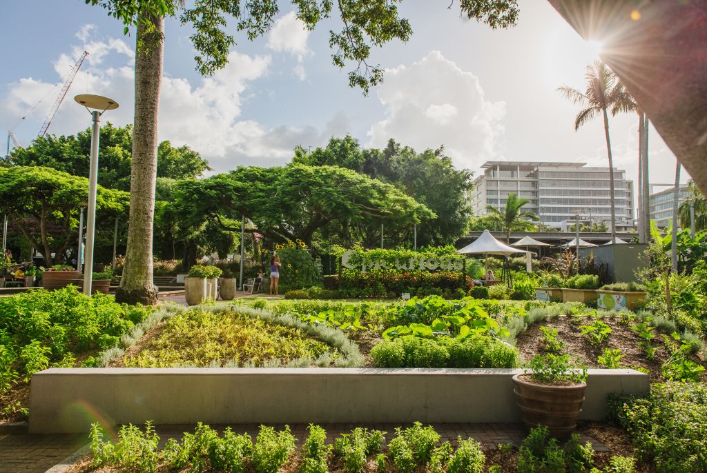 Elegant edible gardens: An emerging new trend in garden design