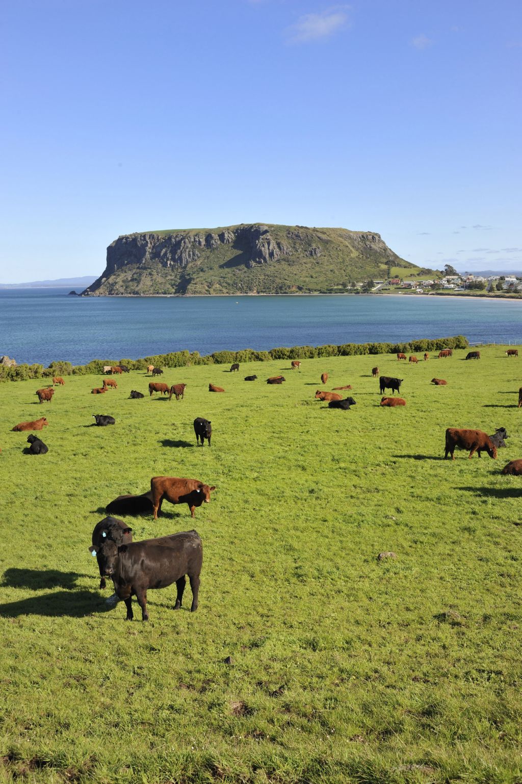 Escape to Stanley, Tasmania: 'It's just special. It’s not like anywhere ...