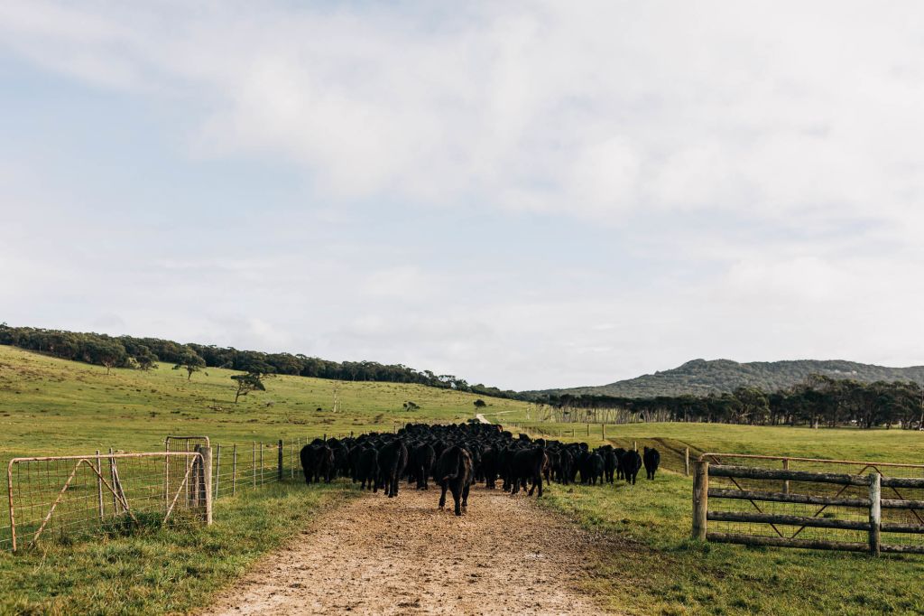 'The ultimate sea-change destination': The family living a simpler life ...