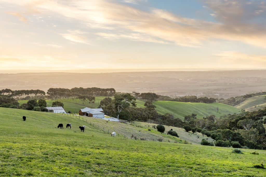 Fleurieu Peninsula: World-class food, wineries and beaches, this SA ...
