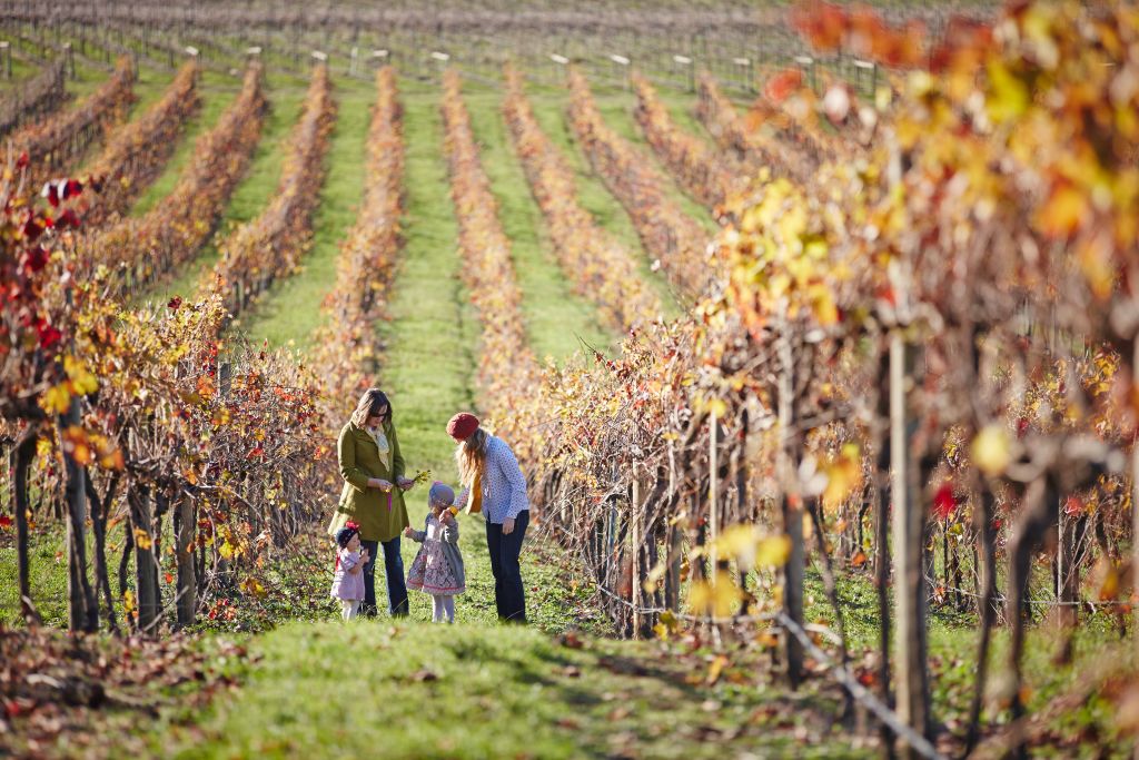 From Milawa to Tallangatta and Prosecco Rd: Towns to visit in north ...