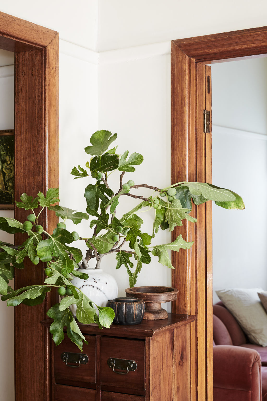 Working from home with Ostro author Julia Busuttil Nishimura