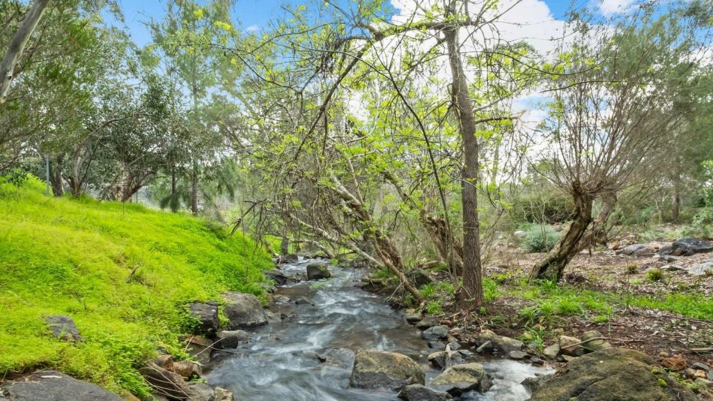 Darlington: Why this bushland 'burb is luring buyers to the Perth Hills