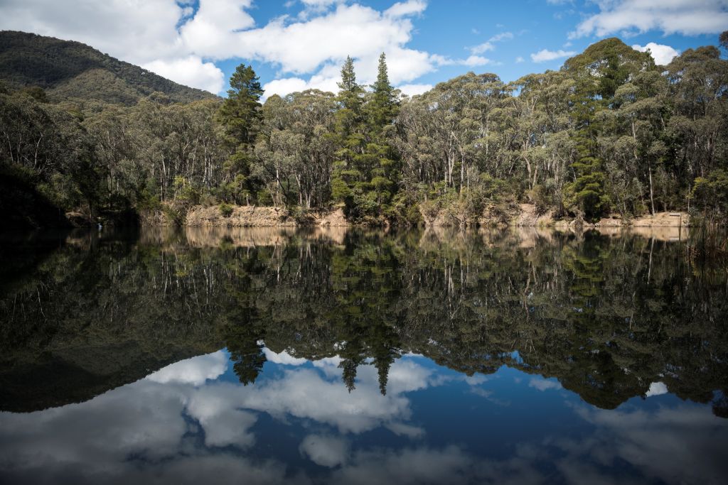 Six towns in Victoria's Alpine region to visit to support bushfire recovery