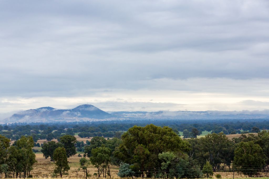 Mansfield: The unofficial capital of Victoria's high country
