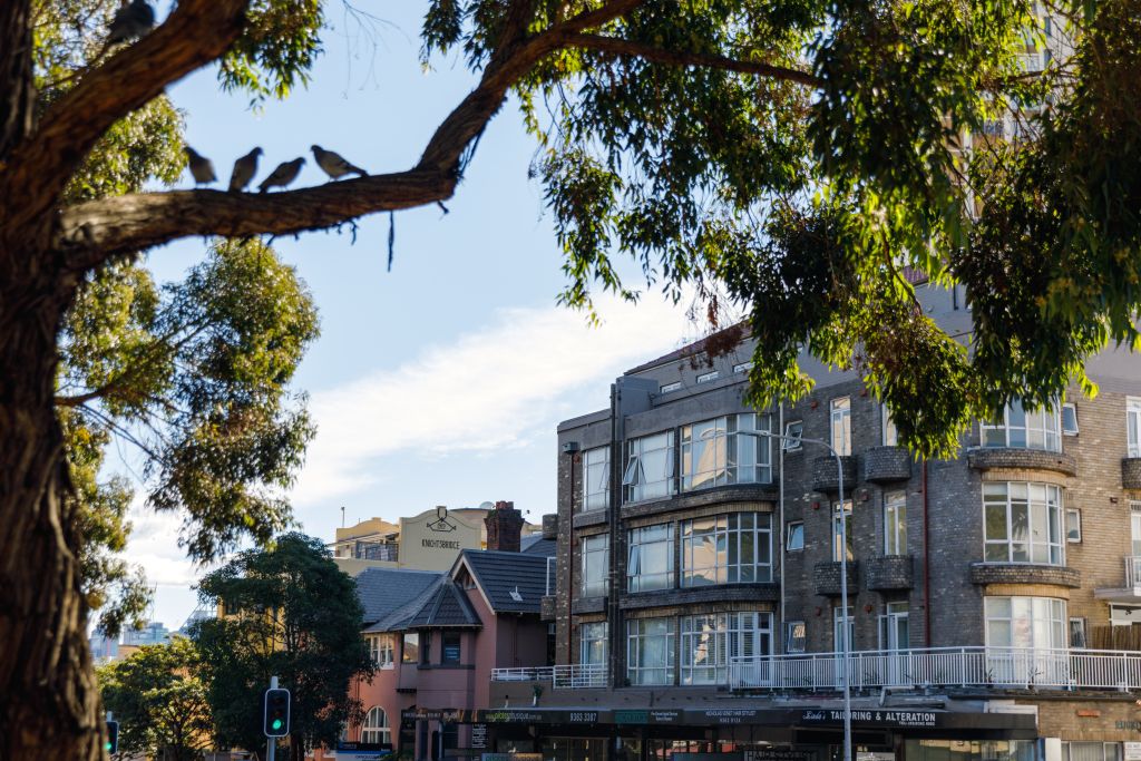 The linchpin of the east: Why the small suburb of Edgecliff is ...