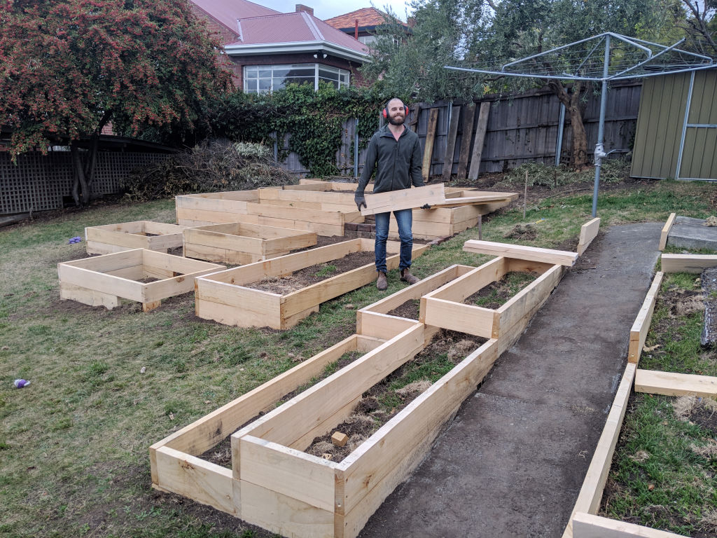 How Dusty Moore turned his 'barren' Hobart backyard into a suburban farm