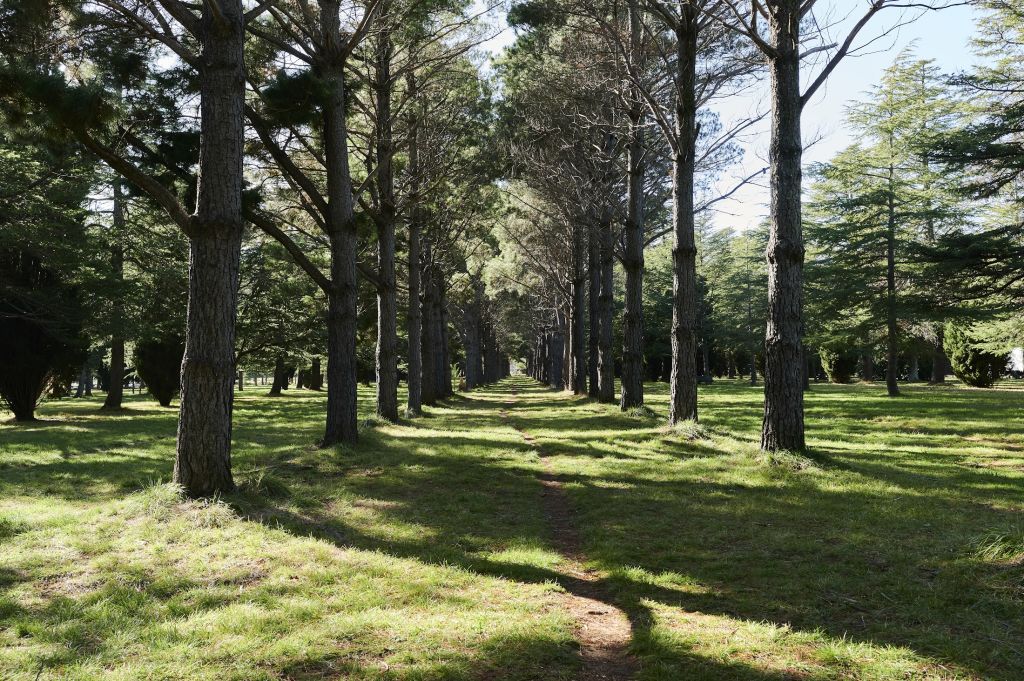 Make the most of summer with Canberra’s local parks