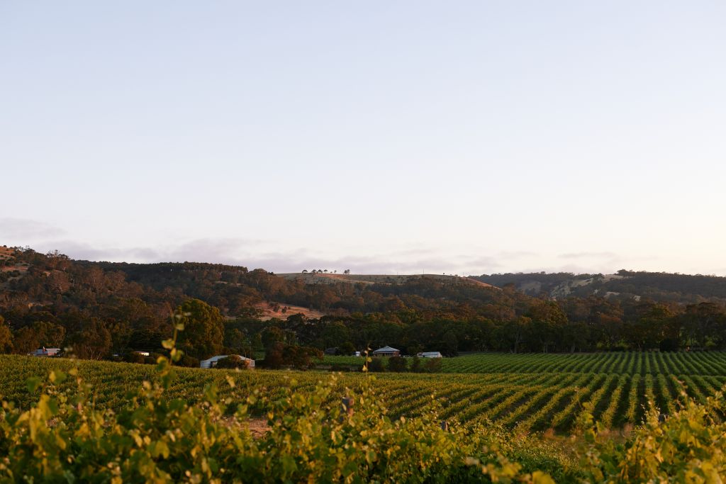Fleurieu Peninsula: World-class food, wineries and beaches, this SA ...