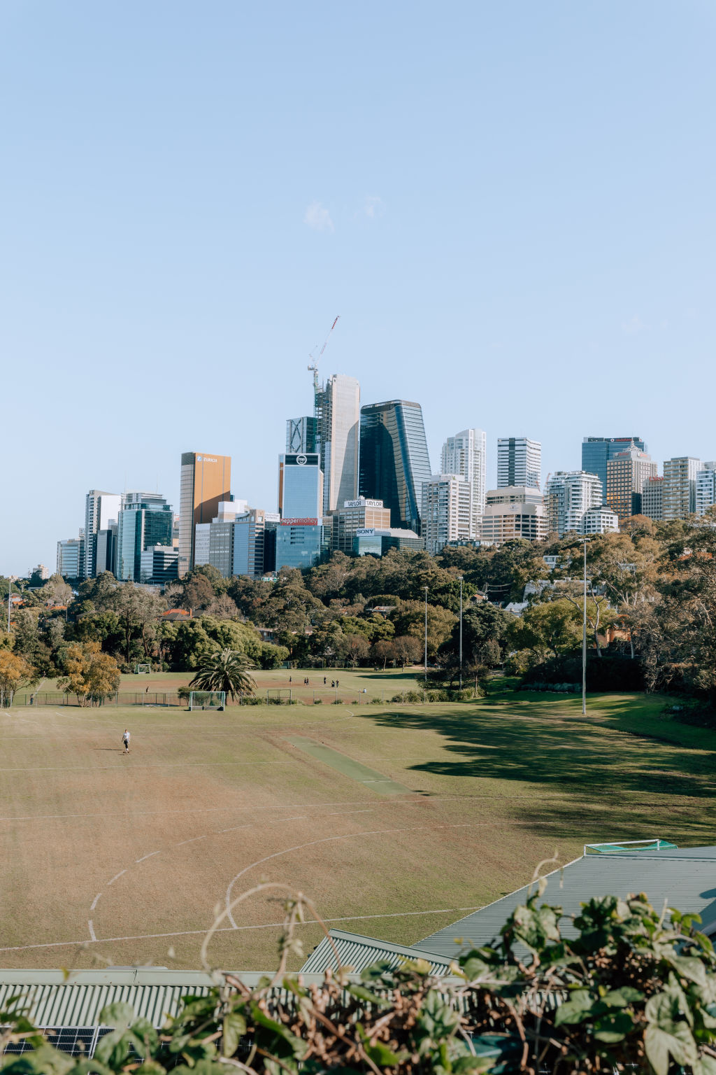 Neutral Bay: The harbourside 'burb undergoing a village-like transformation