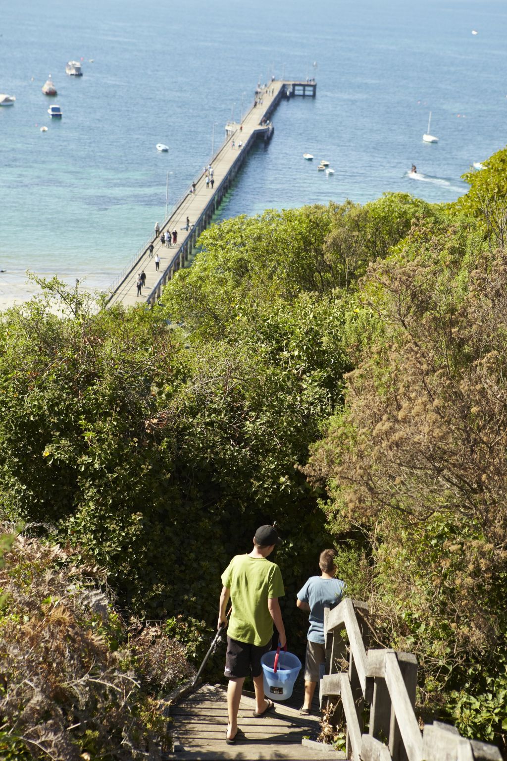 'It will never be overrun': why Flinders is the stress-free side of the ...