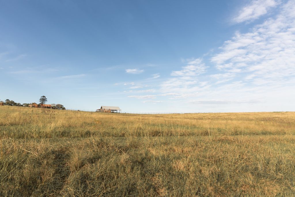Rouse Hill: From agricultural heartland to in-demand residential suburb