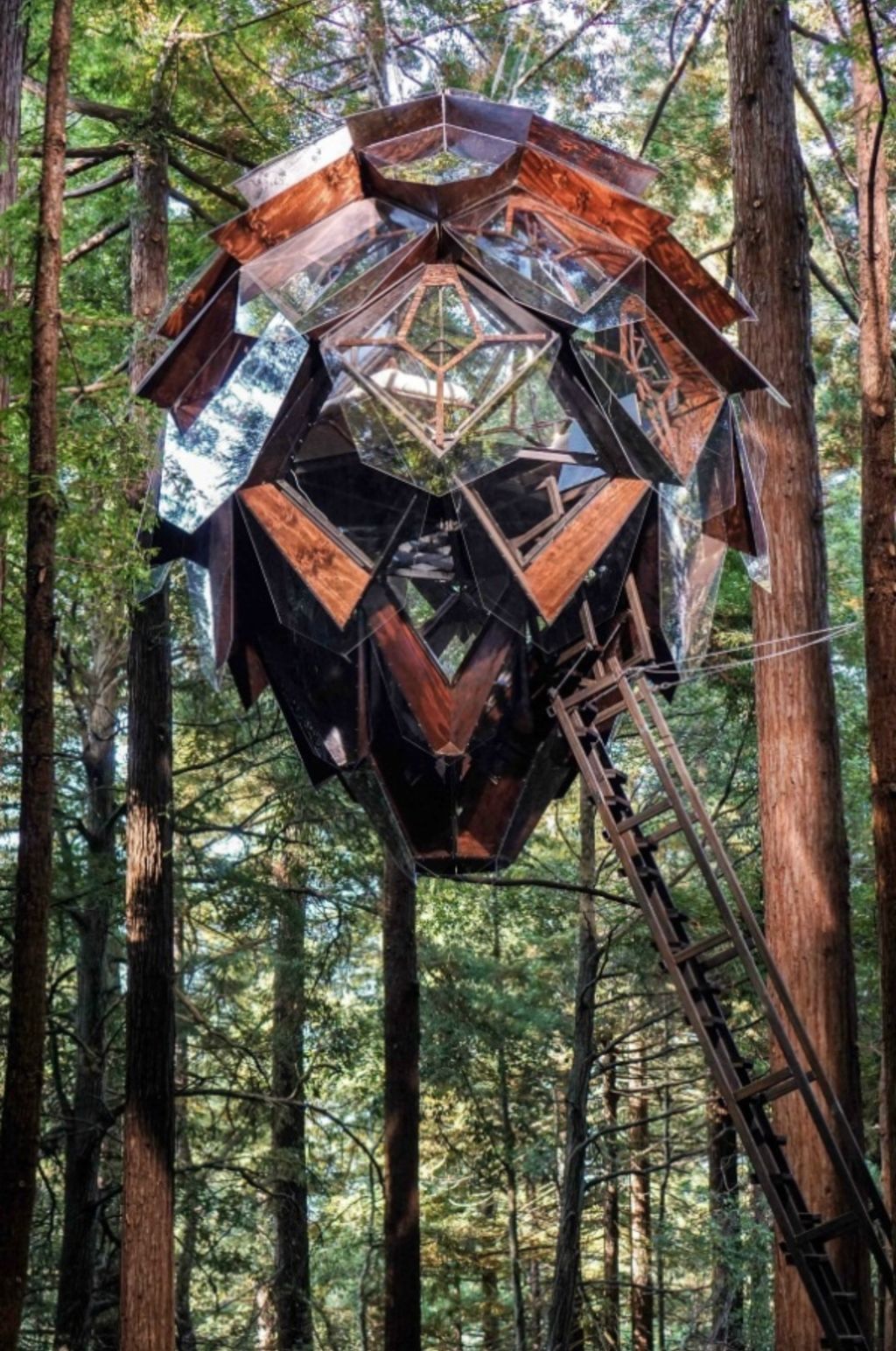 5 luxury treehouses that aren't just for kids