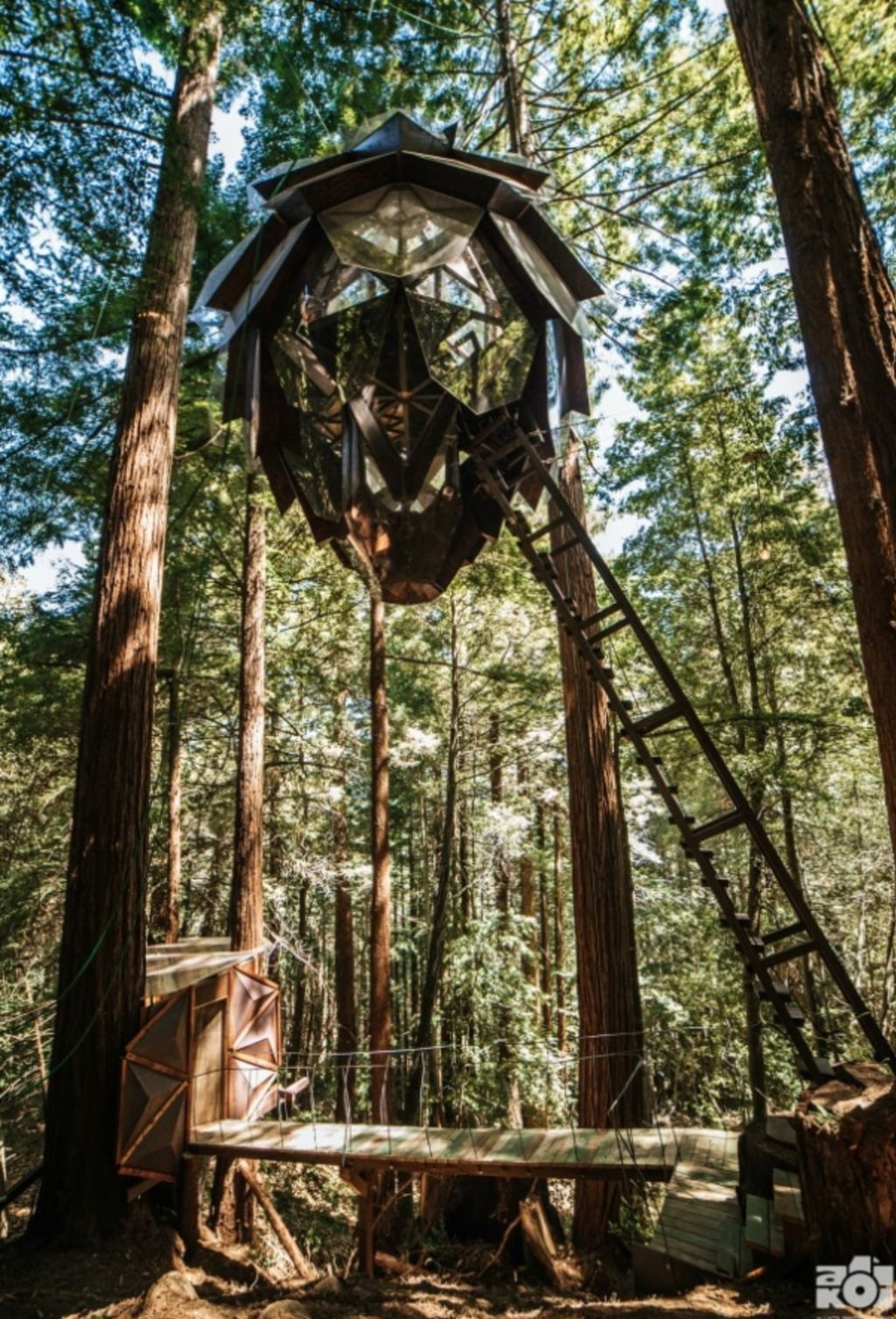 Pinecone treehouse for sale is the ultimate nature escape