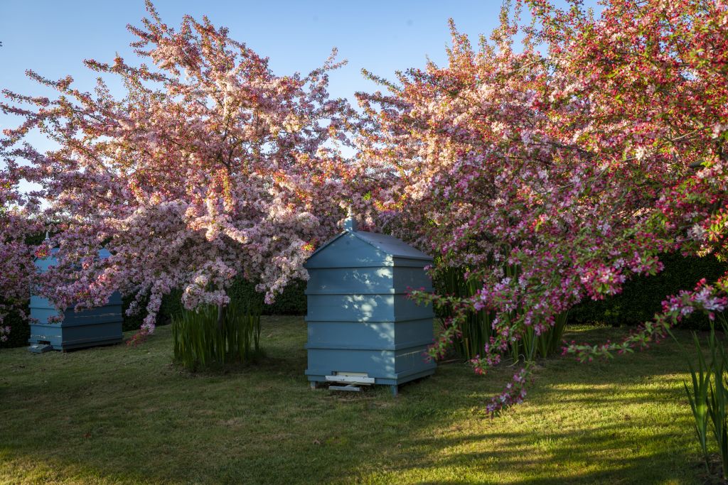 Paul Bangay on the joy of a blossoming spring garden