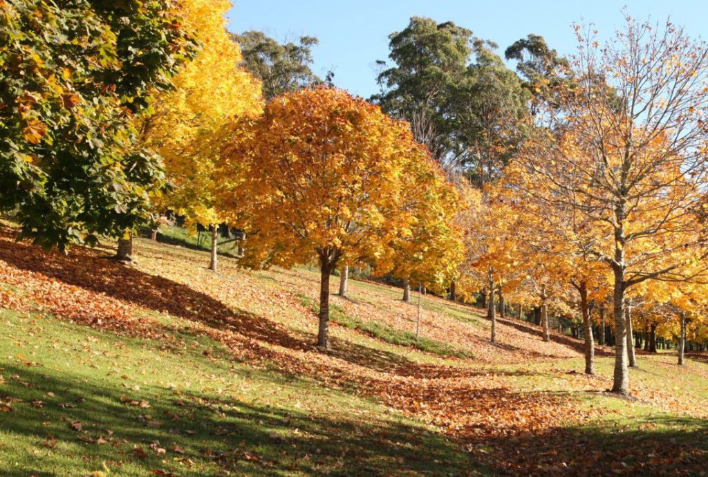 Meet Alison Coopes, the prestige agent who started her career when ...