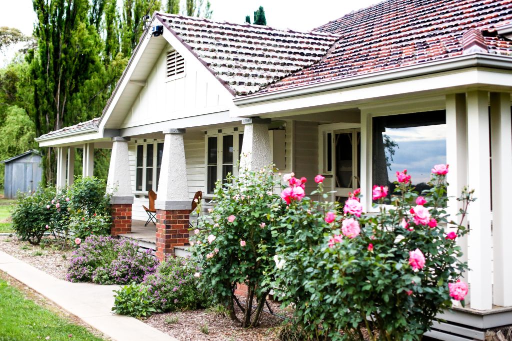 'There is a lot of love': The rise of the Australian farm stay