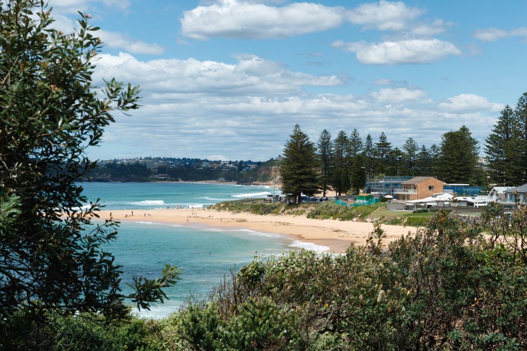 From rural outsider to vibrant village: How Mona Vale became a magnet ...
