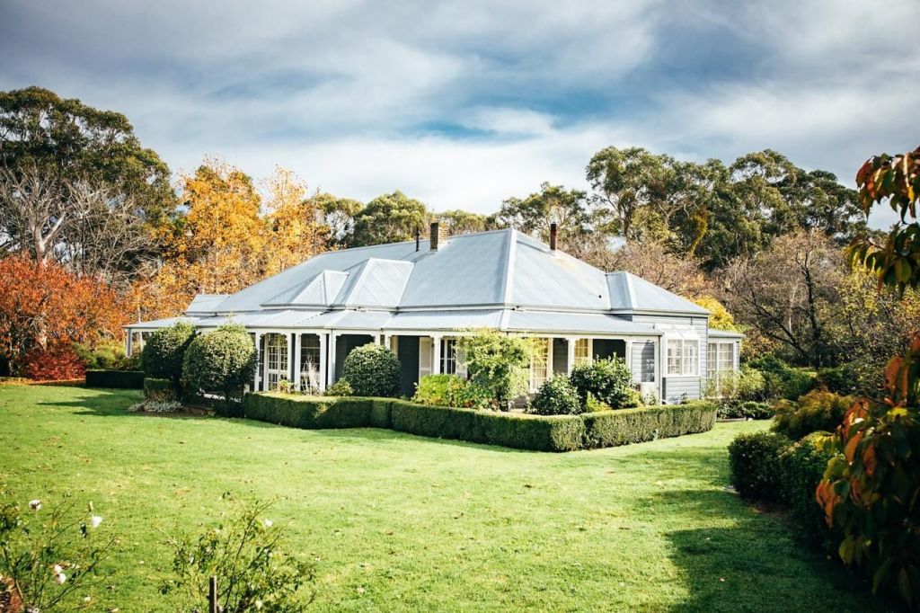 Penrith Panthers' Lou Zivanovic joins the Hunters Hill set with $12 ...