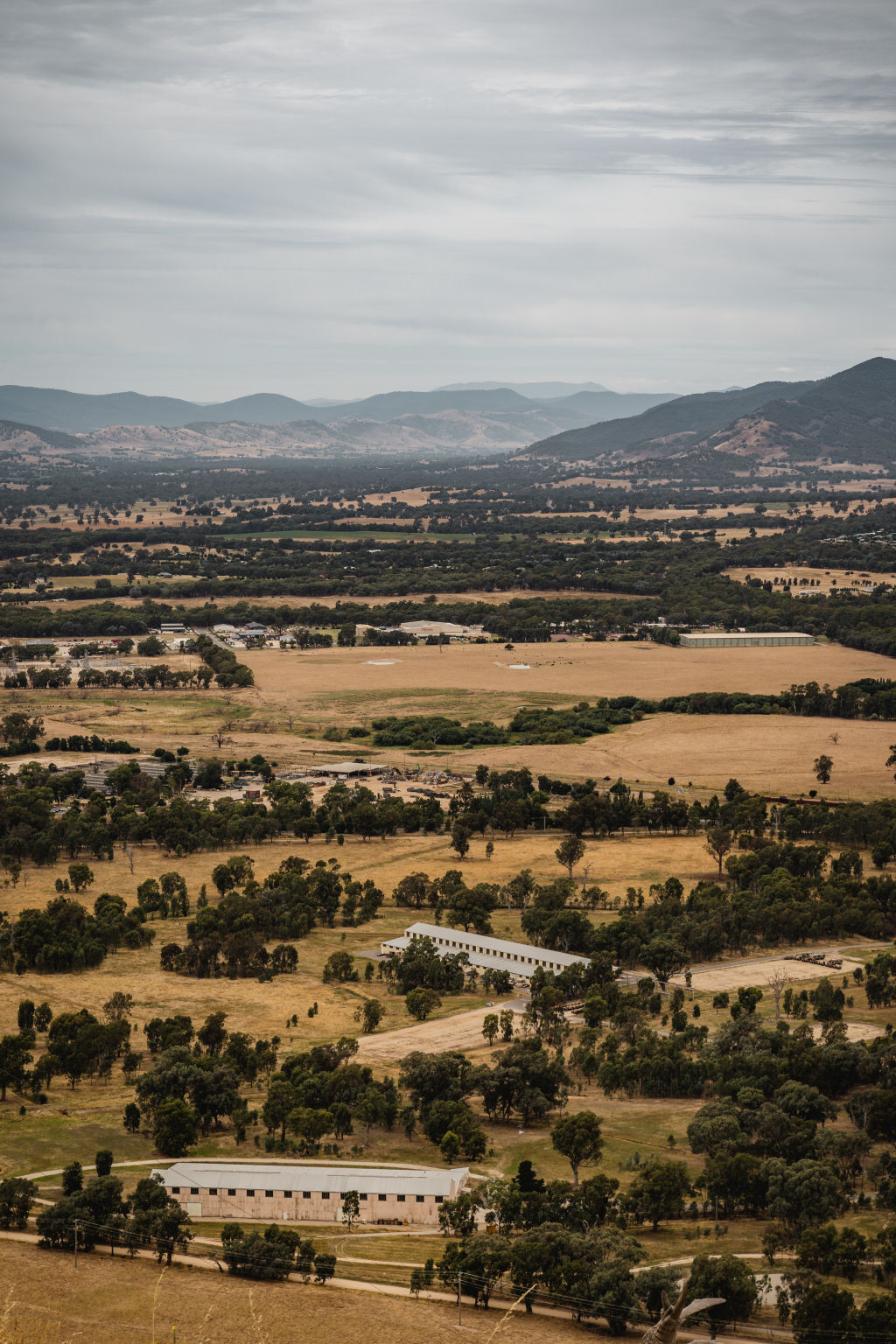 Wodonga: How this border town has inspired a new style of tree change