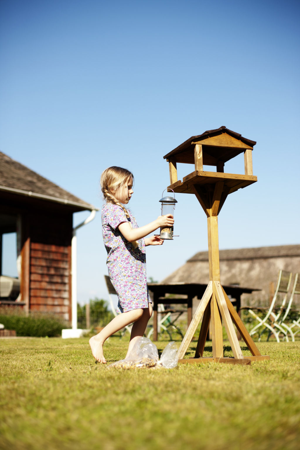 The surprising mental health benefits of bird watching at home