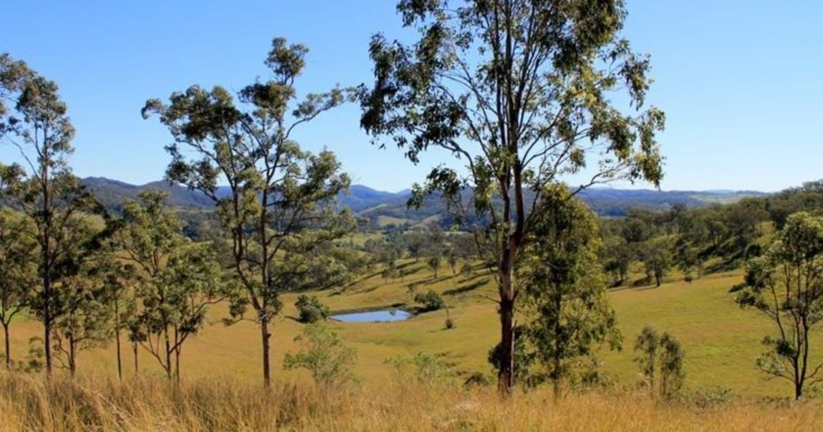 Escape to Kyogle, NSW: ‘A feeling that you can find nowhere else’