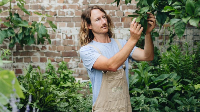 Quick tips for setting up your garden for growing success