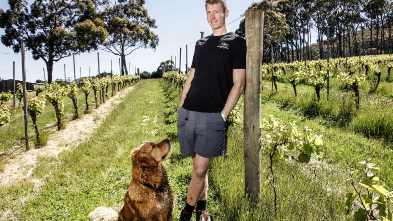 From the MCG to Mount Macedon: AFL premiership player Dylan Grimes on ...