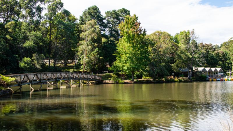 Bowral: The increasingly popular Southern Highlands town luring city ...