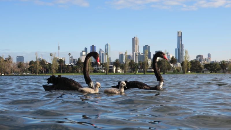 Why the Domain Precinct is one of Melbourne's most prestigious pockets