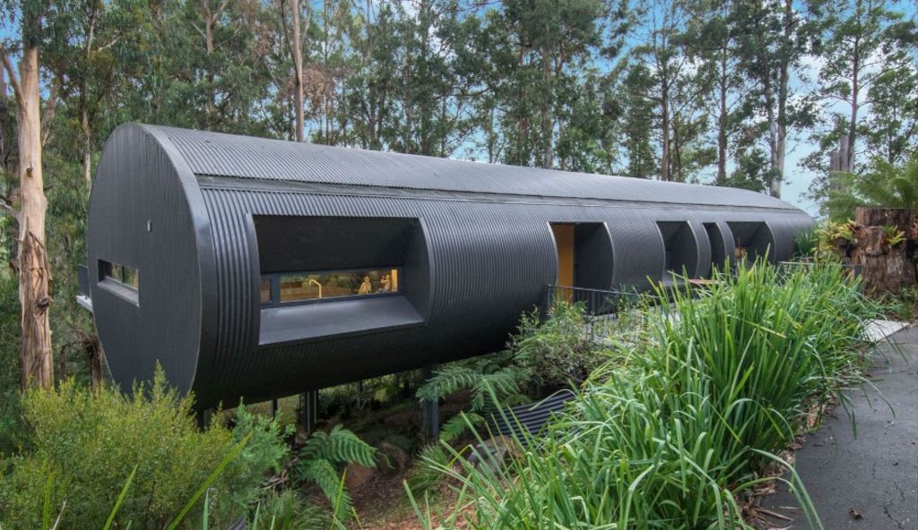 The wild inspiration behind this intriguing home build
