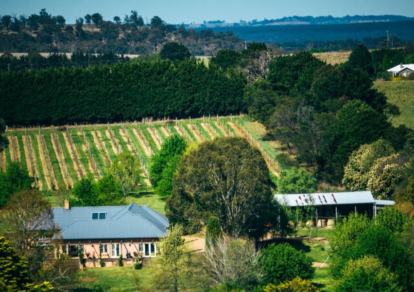 This 'gorgeous' French-inspired homestead in the Southern Highlands ...