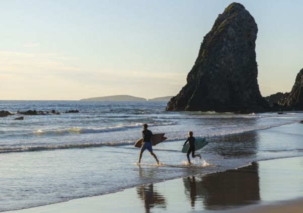 NSW far south coast: Where to visit, eat, drink and stay to support ...