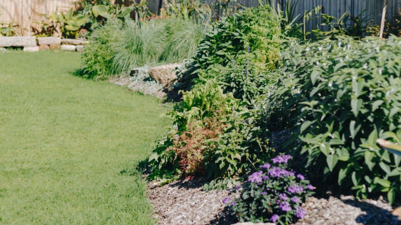 The ultimate guide to looking after your lawn