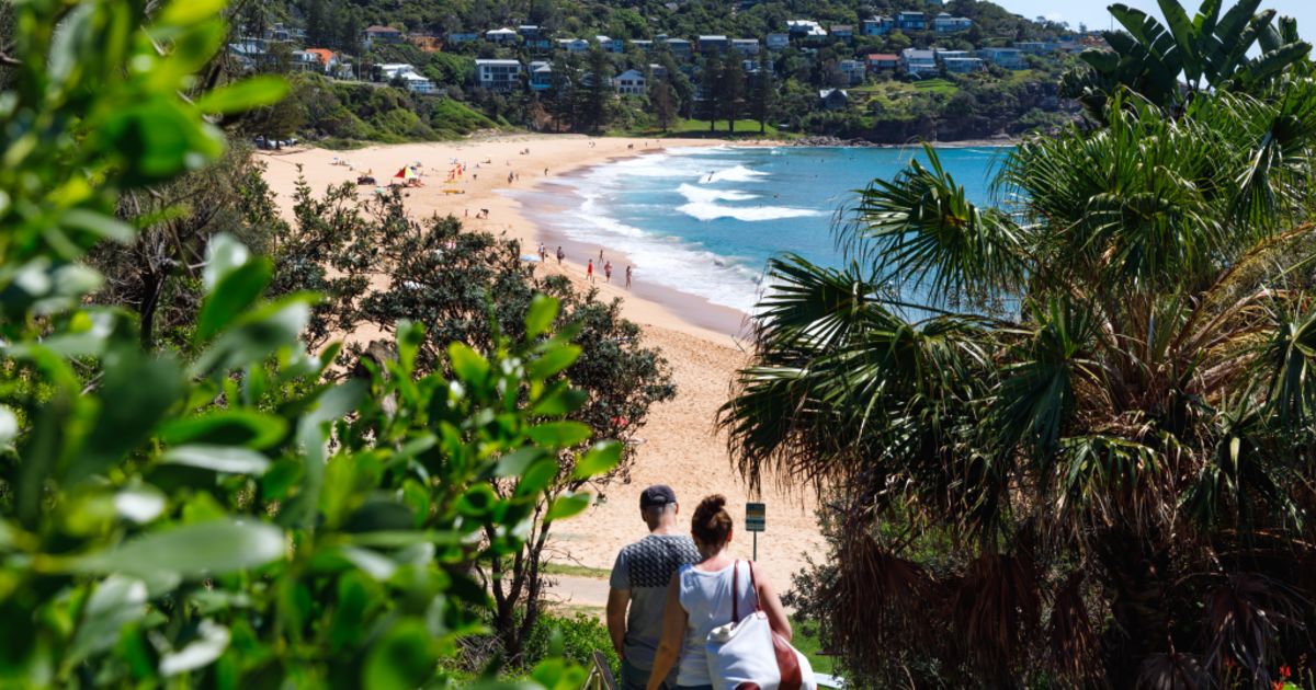 'It's a little more sleepy': Why Whale Beach's laid-back lifestyle is ...