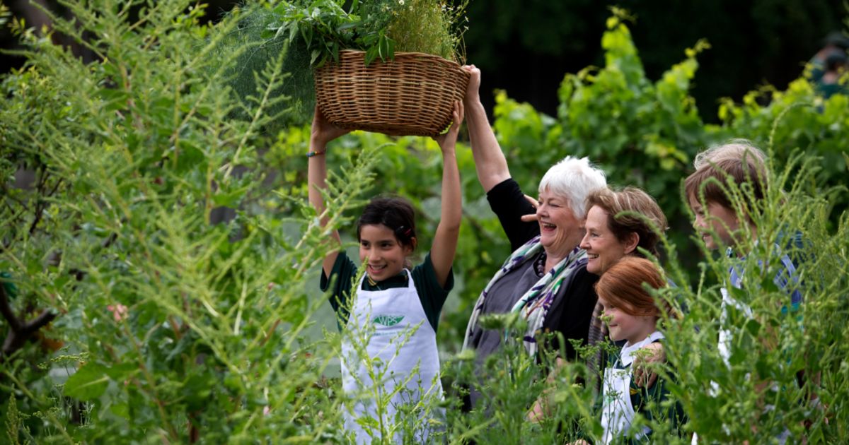 Stephanie Alexander’s Kitchen Garden Foundation sets a real-world example