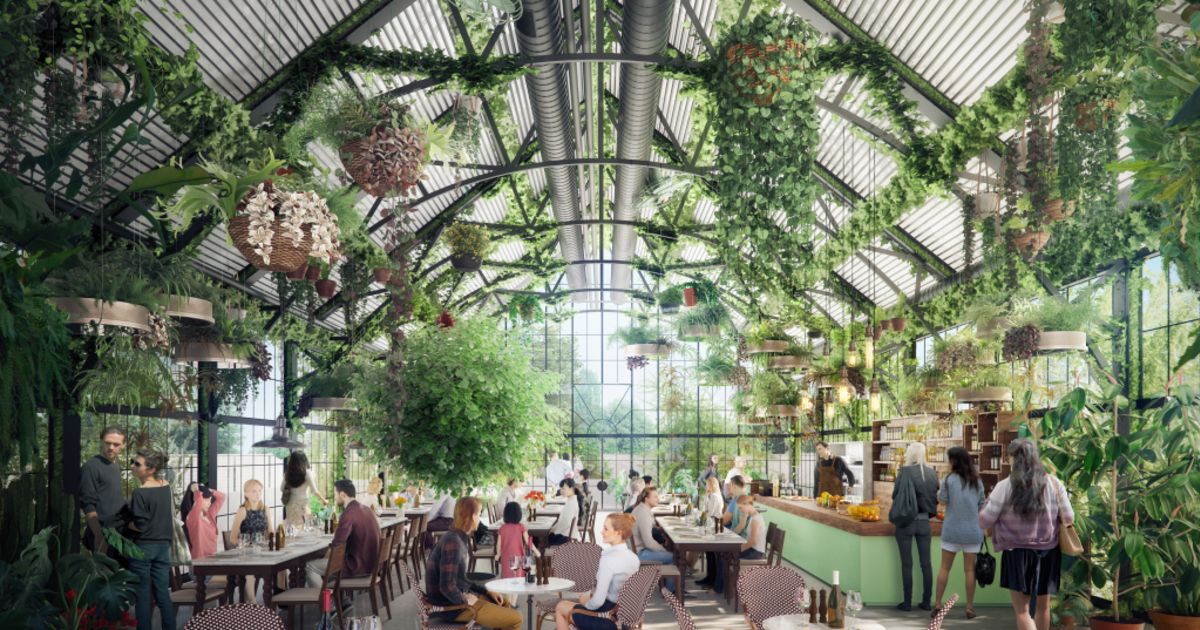 Why the Melbourne suburb of Burwood is suddenly gaining hipster credentials