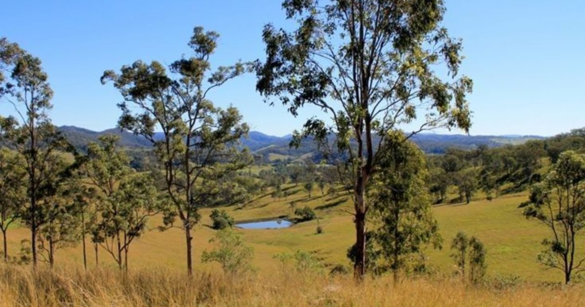 Escape to Kyogle, NSW: ‘A feeling that you can find nowhere else’