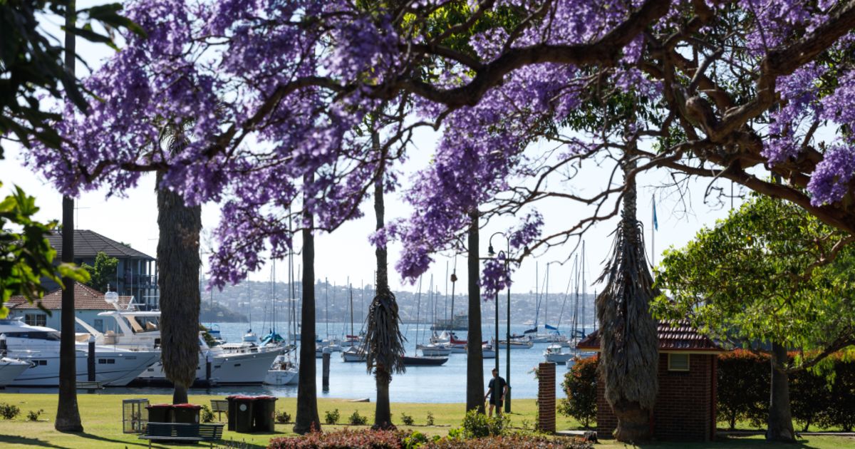 Your Domain: The most liveable suburbs in Brisbane, Sydney and ...