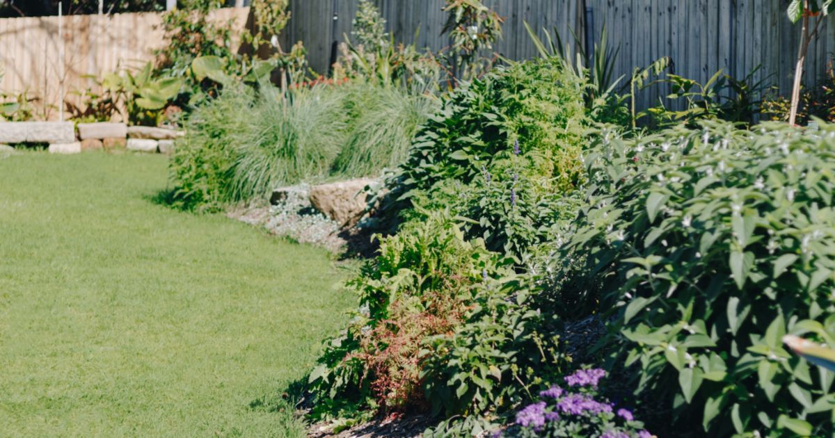 The ultimate guide to looking after your lawn