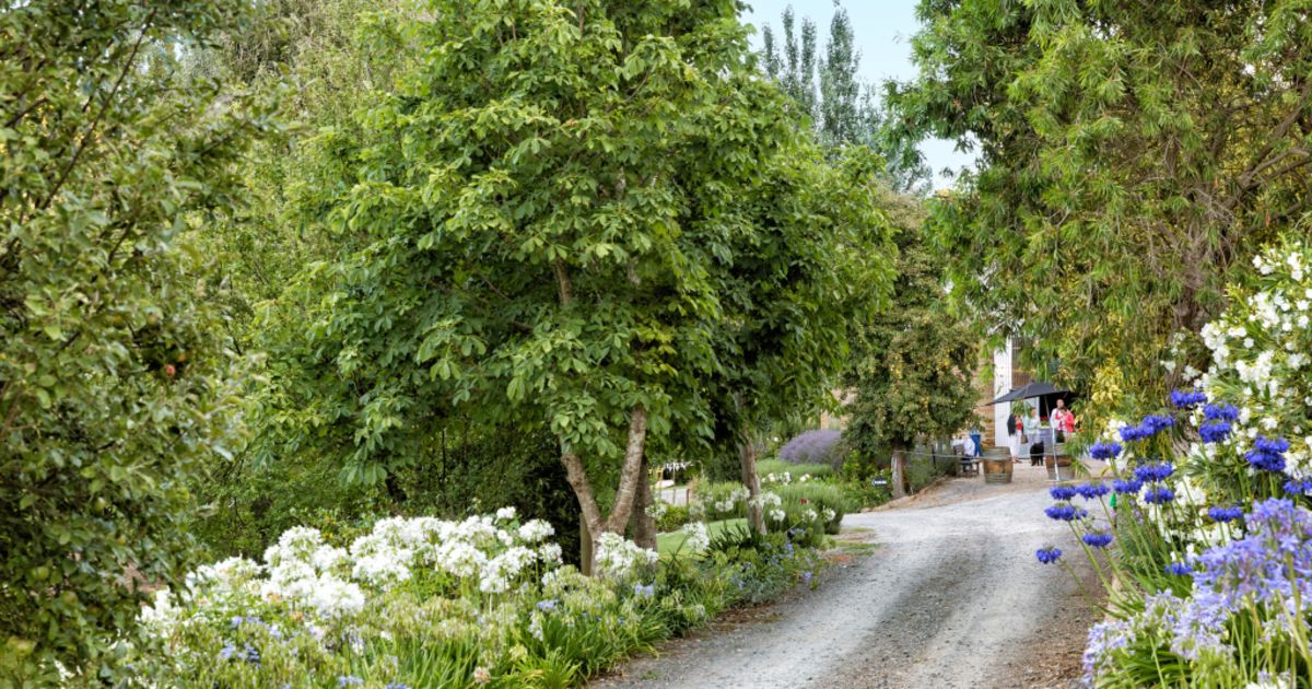 Aldgate: the beautiful Adelaide Hills village that’s kept its country ...