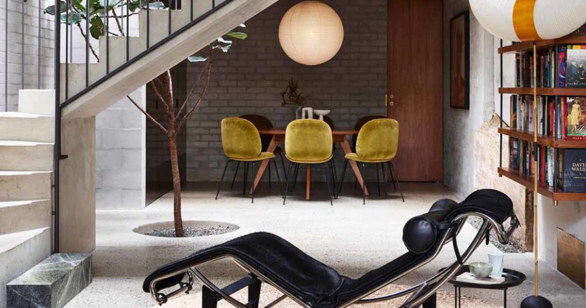 A transformed workers’ cottage with a tree growing in the middle of it