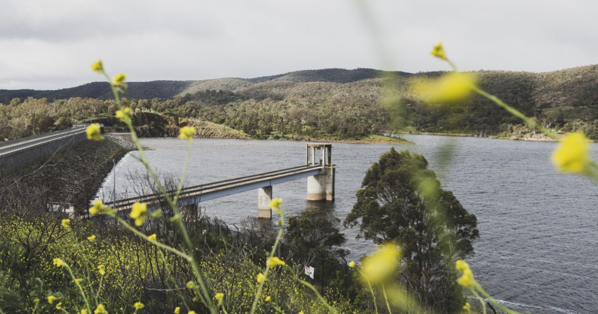 ‘There will be more growth here over time’: What is the allure of ...